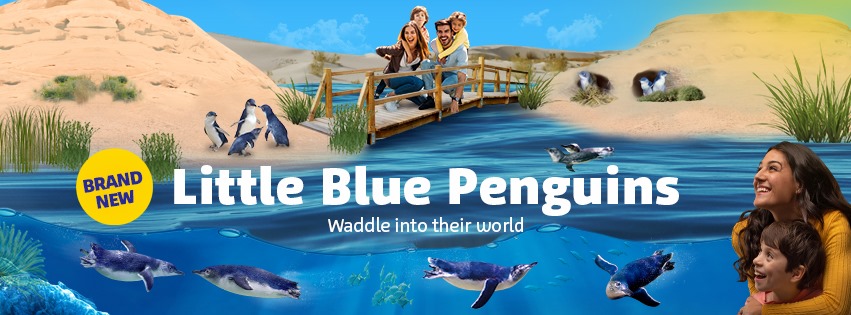 Sea Life - PortSide Australia - %%focuskw%% - Sunshine Coast - 2025